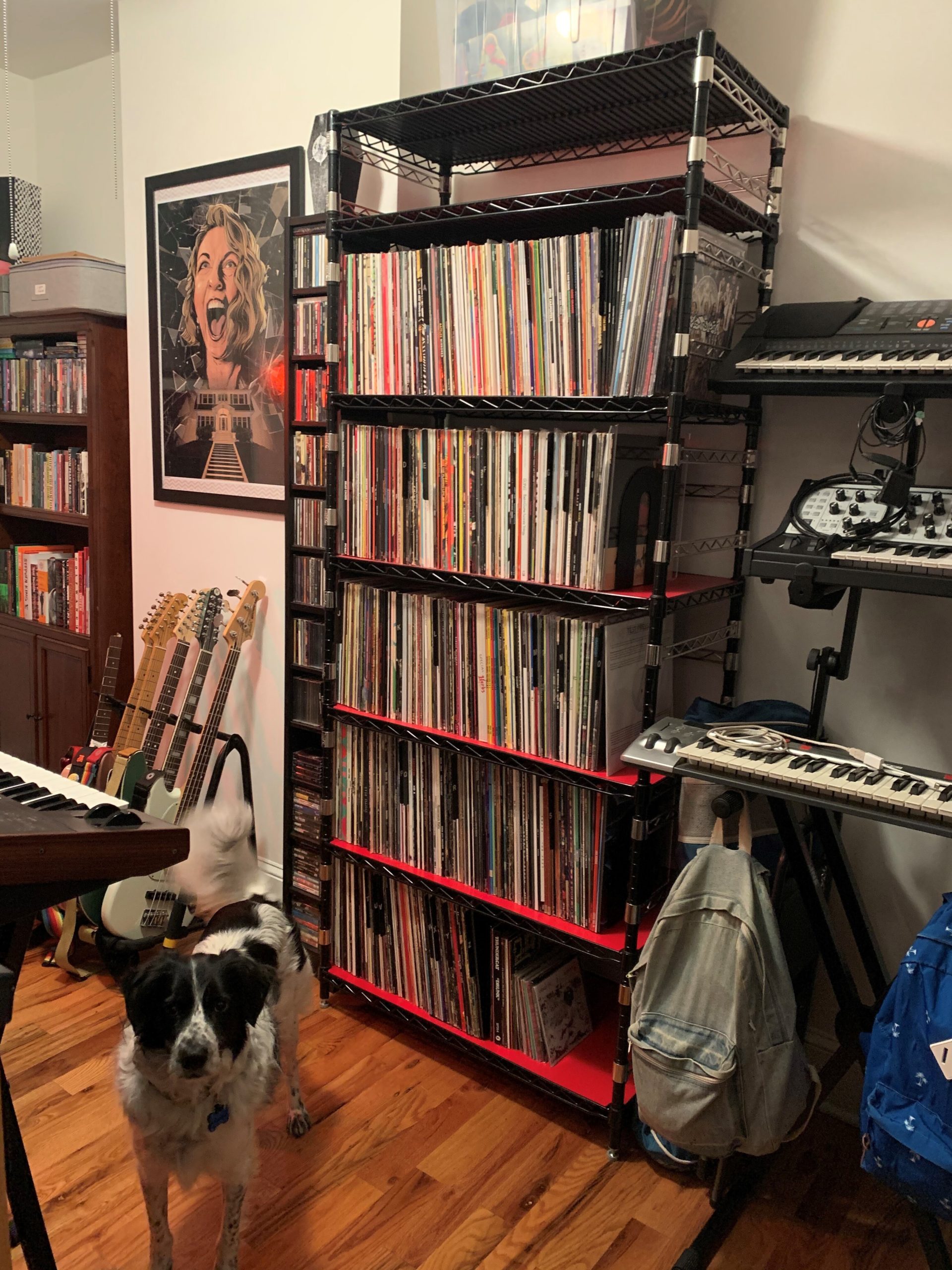 Stylish Vinyl Record Storage | Omega Products Blog